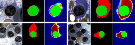 Segmentation Results Of The Proposed Method For Both Nucleus And Download Scientific Diagram