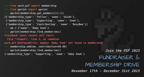 Support Python In 2023