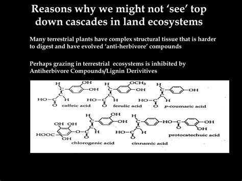 Ppt Resource And Predation Controls On Ecosystem Production Powerpoint Presentation Id2058886