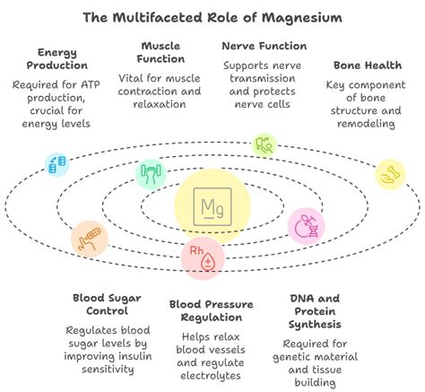 Magnesium The Overlooked Micronutrient In Urban Life