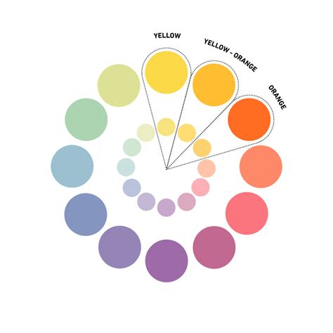 Color Scheme Tạo Bảng Màu Sáng Tạo Cho Thiết Kế Đẳng Cấp