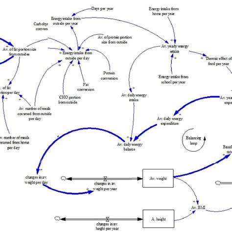 Causal Loop Diagram Of The Interaction Of Eating And Physical Activity Download Scientific