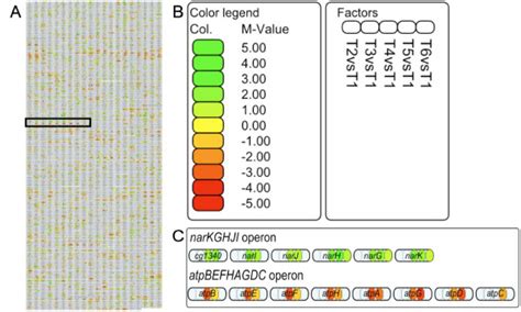Genomemap Visualization Of The Transcriptome Analysis Visualization Of