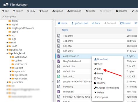 How To Add Google Tracking Code Using PHP In CPanel