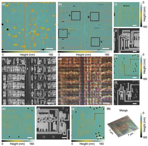 Semiconductor Wafer Surface Imaging By Correlative Afm And Scanning