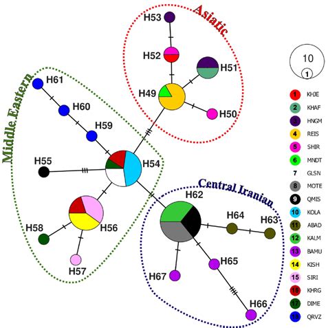 Median‐joining Network Based On The Complete Cyt B Gene Depicting The