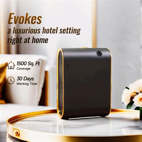 Humidifier Troubleshooting Easy Fixes For Common Problems Lacidoll