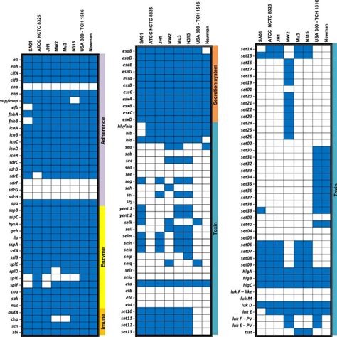 Time Kill Curve Of Staphylococcus Aureus Sa01 Grown In The Presence Of