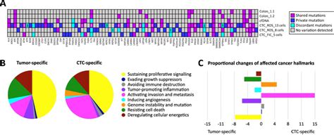 Mutation Profiles Of Corresponding Ctcs Cfdna And Tissue From A
