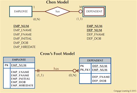 [notes] csci 585 db entity relationship er modeling · netside