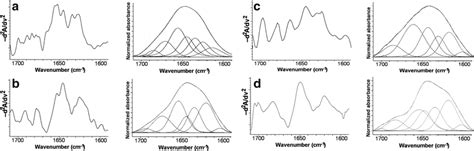 The Inverted Second Derivative Ftir Spectra Left And The Download Scientific Diagram