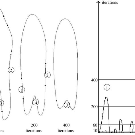 Segmented Person And Smoothed Shapes With Inflection Points Are Download Scientific Diagram
