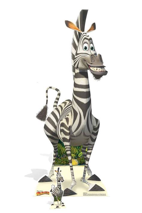Madagascar Zebra