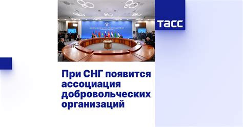 При СНГ появится ассоциация добровольческих организаций