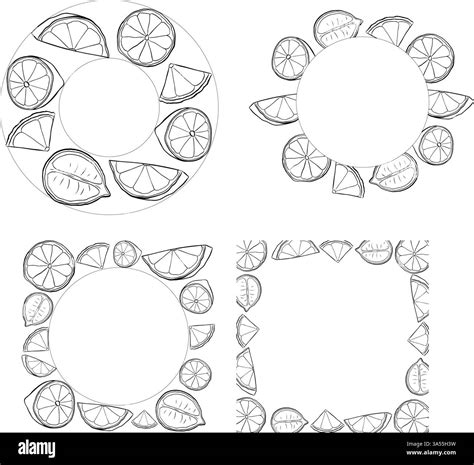 Lemon Slice Circle Round Frame Set Vector Drawing Citrus Fruit Circle
