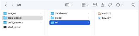 adding ssl to your ords container