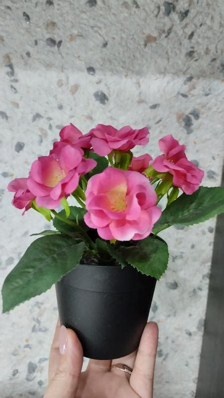 Ikea Fejka искусственный вазон кашпо — цена 150 грн в каталоге