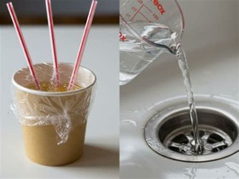 “초파리 박멸 약도 필요 없습니다”…간단한데 효과 좋기로 소문난 퇴치법 2가지