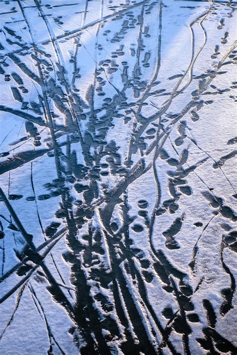 Pattern Of Multiple Traces Of People And Bicycles In The Snow On A Frozen River Stock Image