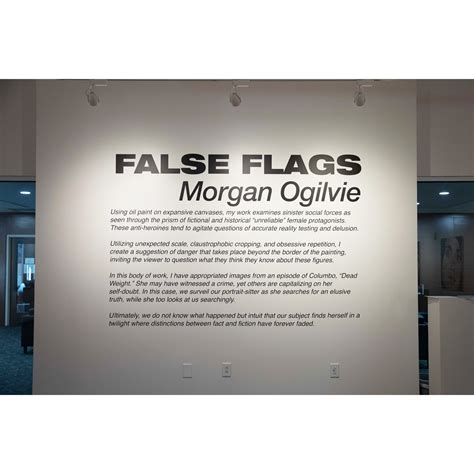 False Flags — Morgan Ogilvie