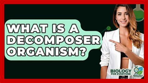 What Is A Decomposer Organism Biology For Everyone Youtube