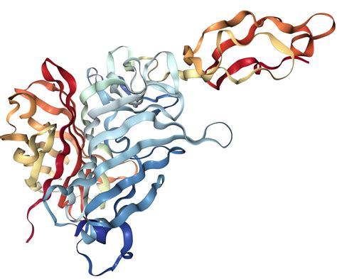 Factor H Protein Overview Sino Biological