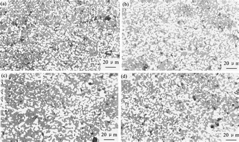 Photos Showing Microstructure Of Tib2 B4c Composite Ceramics At