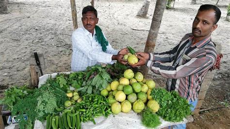 ರೈತರಿಗೆ ವರದಾನವಾಗುತ್ತಿರುವ ಶೂನ್ಯ ಬಂಡವಾಳದ ನೈಸರ್ಗಿಕ ಕೃಷಿ Natural Farming Trends Farmers Shift