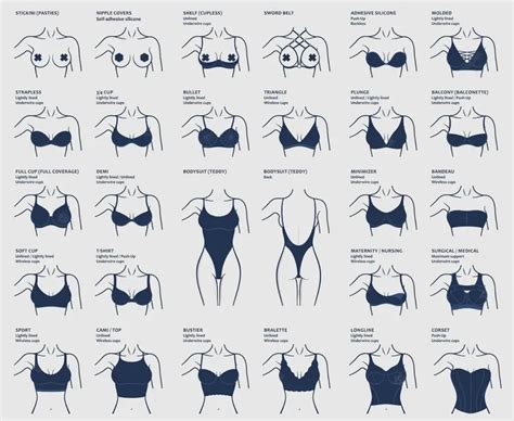 Bra Size Guide Chart And Calculator
