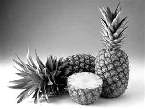 ჯანმრთელობისთვის სასარგებლო პროდუქტები კვირის პალიტრა