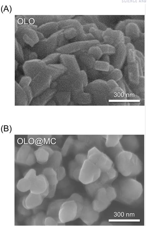 Figure 1 From Dual Doped Mesoporous Carbonswcnt Nanoshells For Li Ion