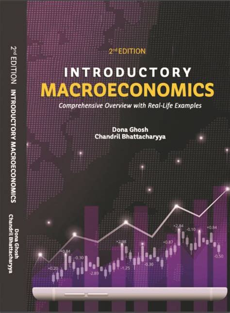 Introductory Macroeconomics Comprehensive Overview With Real Life Examples Online Book Stores