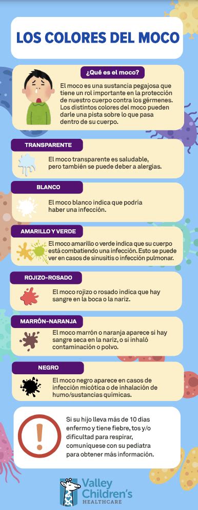 Descubre Los Distintos Tipos De Mocos Y Su Significado Para Tu Salud