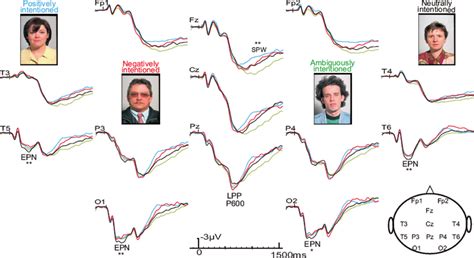 Grand Average N 16 Of The Event Related Brain Potentials Elicited By Download Scientific