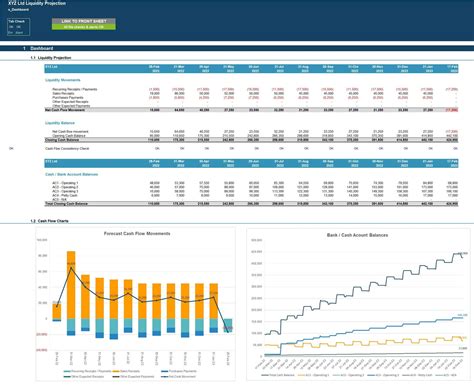 Daily Financial Liquidity Projection Excel Model Template