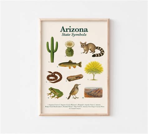 Arizona State Symbols Poster — Vintage Educational Wildlife Print Etsy