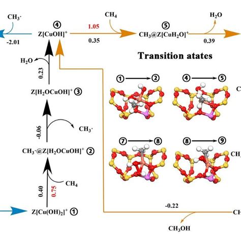The Reaction Network Of Methane Conversion Towards Methanol In Download Scientific Diagram