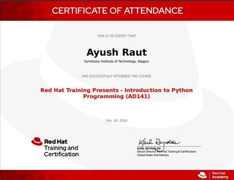 ayush raut on linkedin i m grateful for the opportunity to invest in my professional development…
