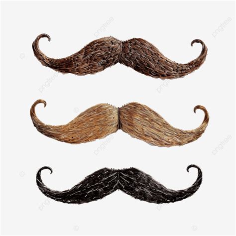 Paquetes De Bigote Con Modelos Geniales Y únicos Png Dibujos Diferente