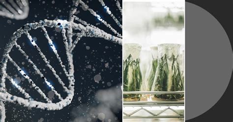 List Randd In Textiles Traceability Curated By Kredble Medium