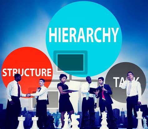 Employment Hierarchy Images Free Photos Png Stickers Wallpapers And Backgrounds Rawpixel