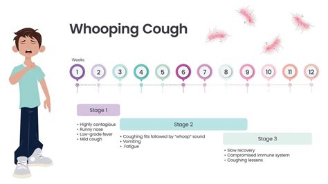 Whooping Cough Vector Art Icons And Graphics For Free Download
