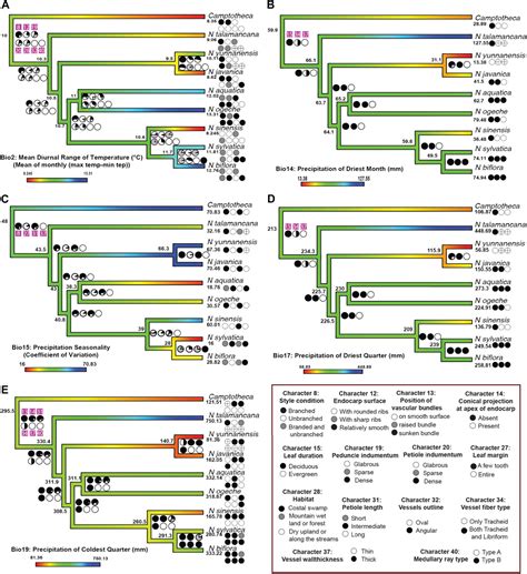 Phylogenomics Biogeography And Evolution Of Morphology And Ecological