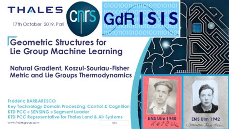 pdf geometric structures for lie group machine learning natural