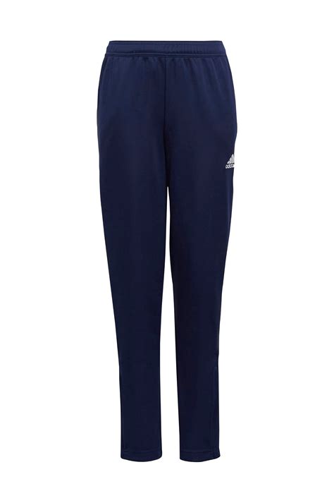Adidas Sport Performance Träningsbyxor Entrada 22 Training Tracksuit Bottoms Blå