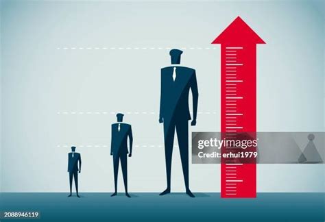290 Height Comparison High Res Illustrations Getty Images