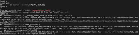 使用NCNN进行其他网络结构推理显示代码段错误 Issue Tencent ncnn GitHub