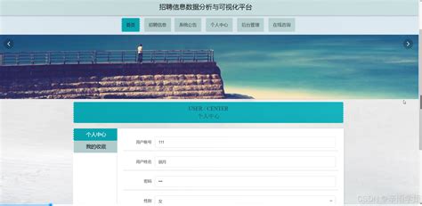 Java计算机毕业设计招聘信息数据分析与可视化平台（开题程序论文） Csdn博客
