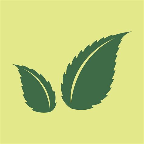 플랫 나뭇잎 로고 템플릿 벡터 Eps Ai Uidownload