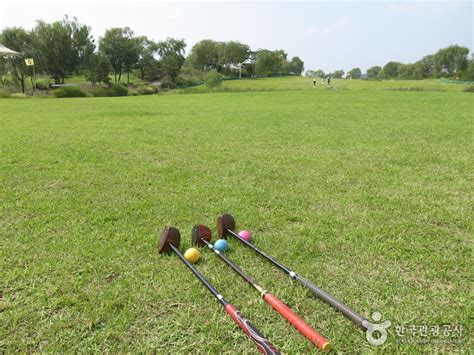 파크골프park Golf 경기방법 및 관련장비 파크골프장 위치 알아보기